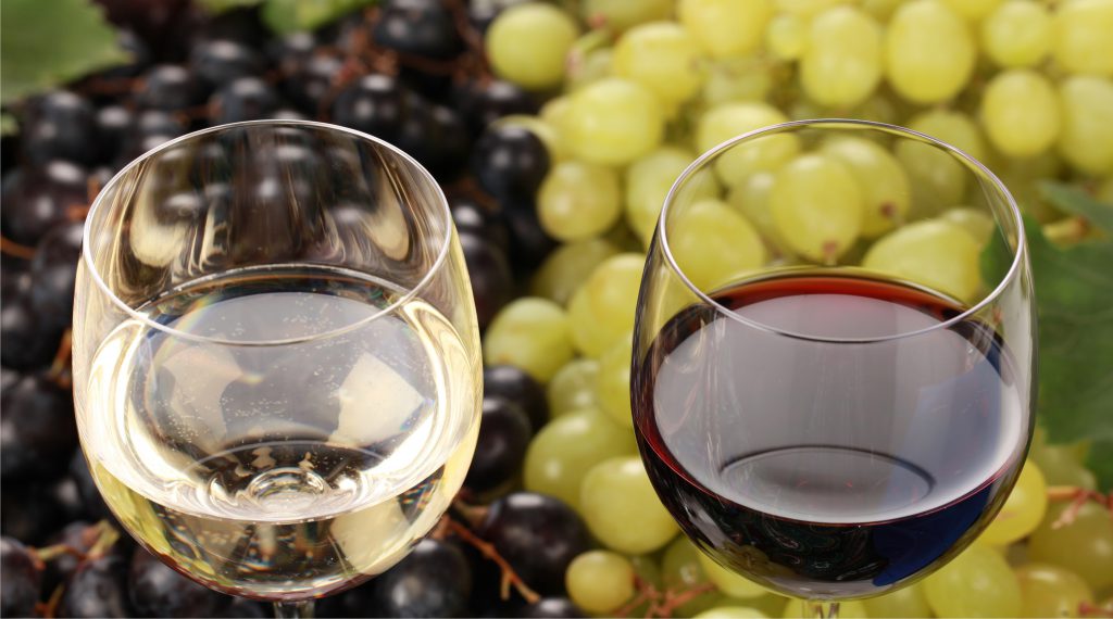 Red or White: Which Is Right?! - Taffeta